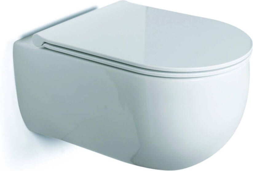 Bewonen Salva hangtoilet 53cm Rimless met zitting SC & QR mat wit ...